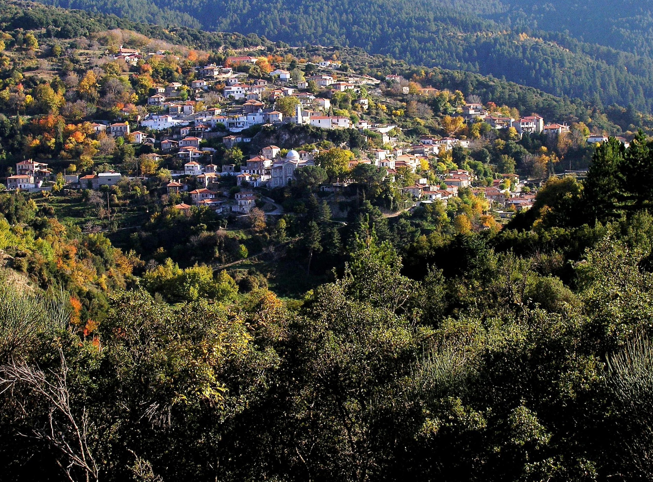 Δημιουργία Θερμοκοιτίδας Νέων Επιχειρήσεων στη Βαμβακού Λακωνίας ...