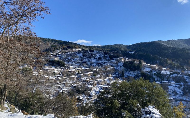 Βαμβακού Λακωνίας, ένα μικρό χωριό που αναγεννάται!