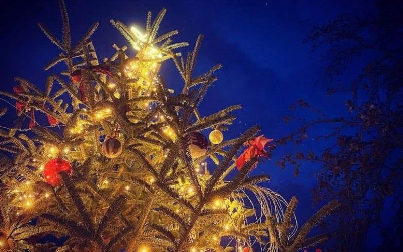 Βαμβακού Λακωνίας, ένα μικρό χωριό που αναγεννάται!